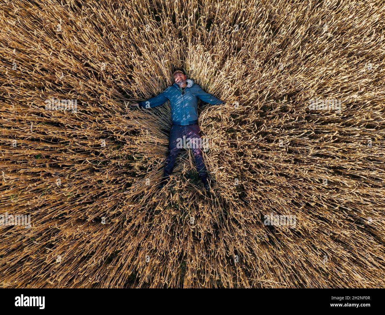 Carefree man lying on rye field Stock Photo - Alamy