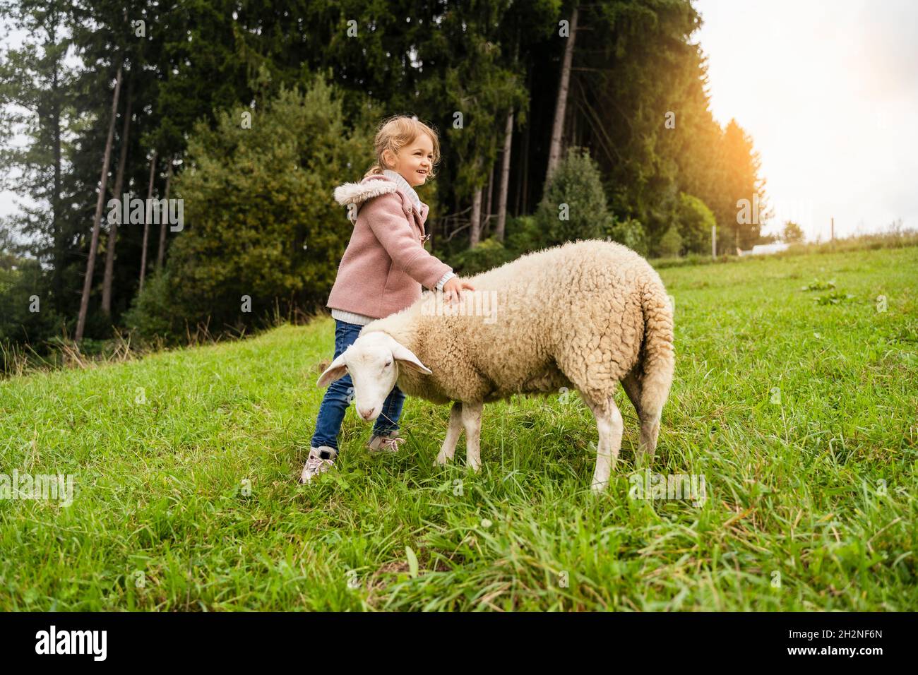 Smiling cute girl standing with sheep in green farm Stock Photo - Alamy