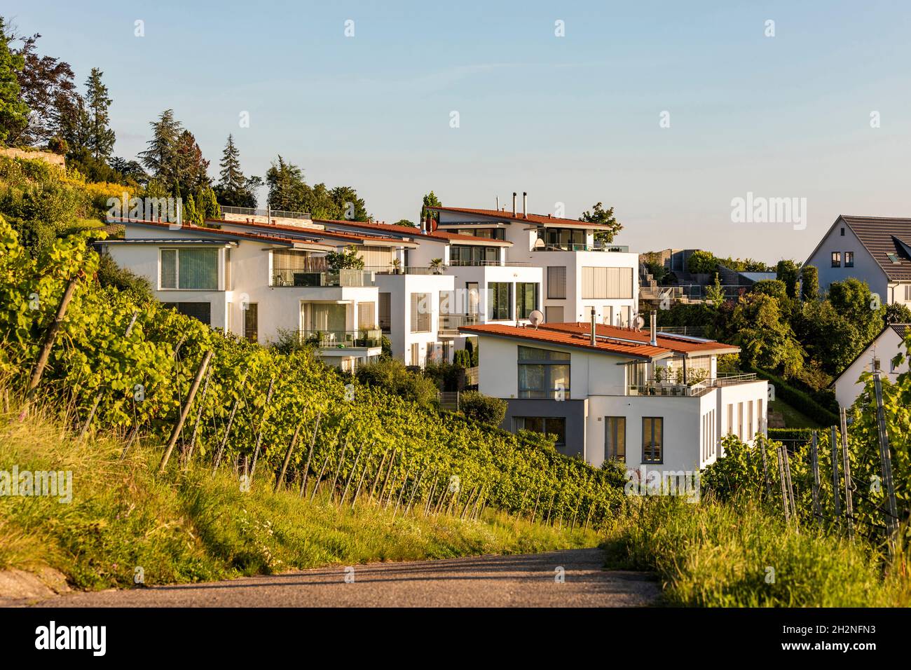 Vineyard front modern suburb houses rotenberg hi-res stock photography ...