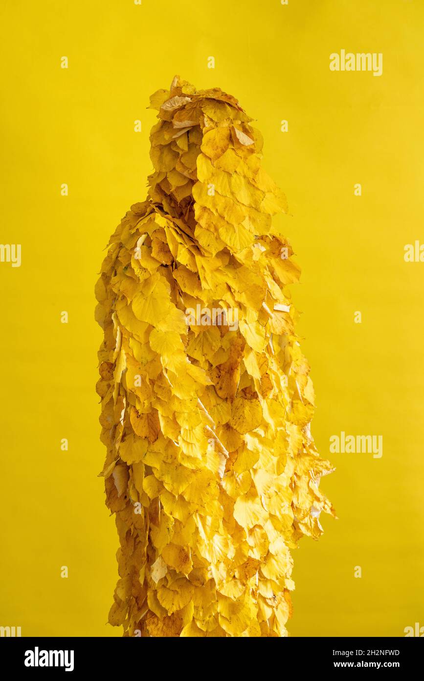 Woman in autumn leaf costume standing by yellow background Stock Photo ...