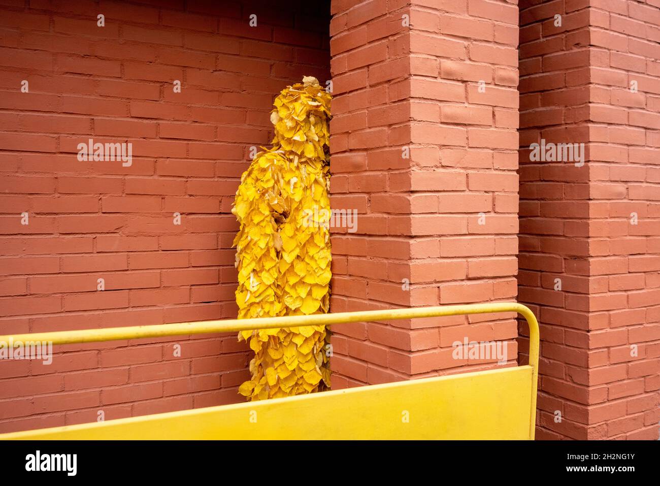Woman in autumn leaf costume standing behind architectural column Stock ...