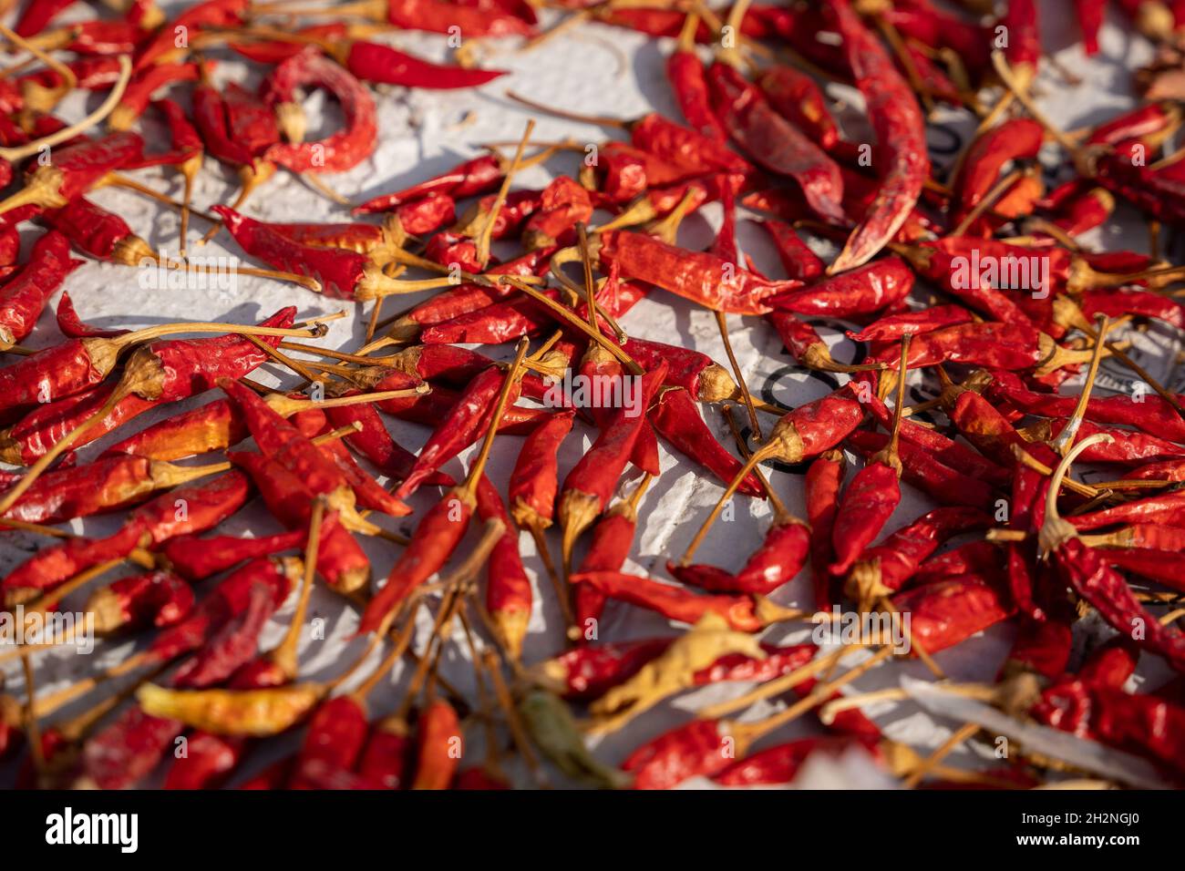 Chili peppers drying in sun hi-res stock photography and images - Alamy