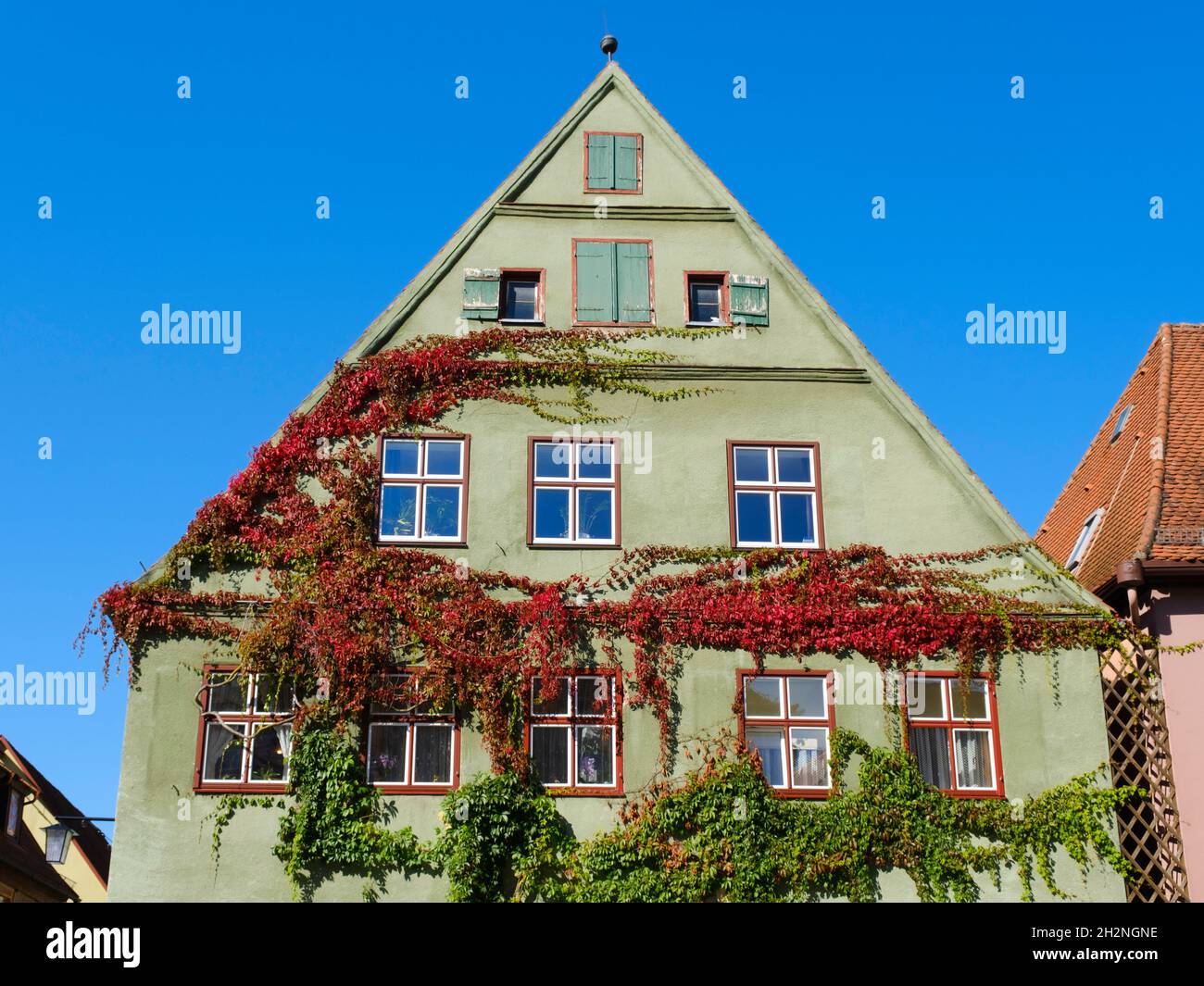 Germany, Bavaria, Dinkelsbuhl, Ivy overgrowing green pastel colored ...