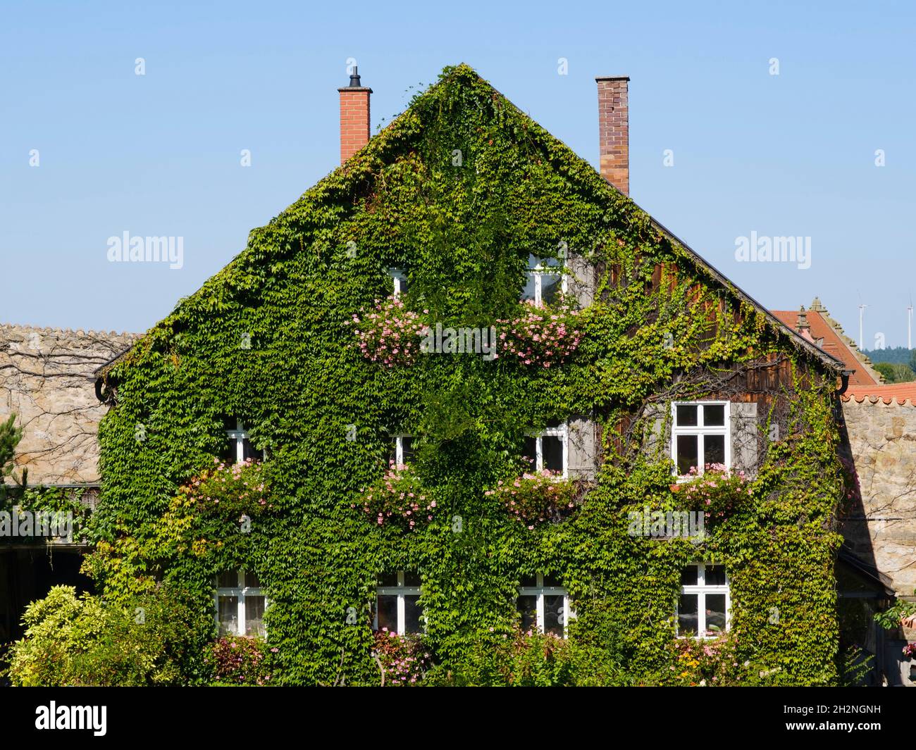 Overgrown house growth hi-res stock photography and images - Alamy