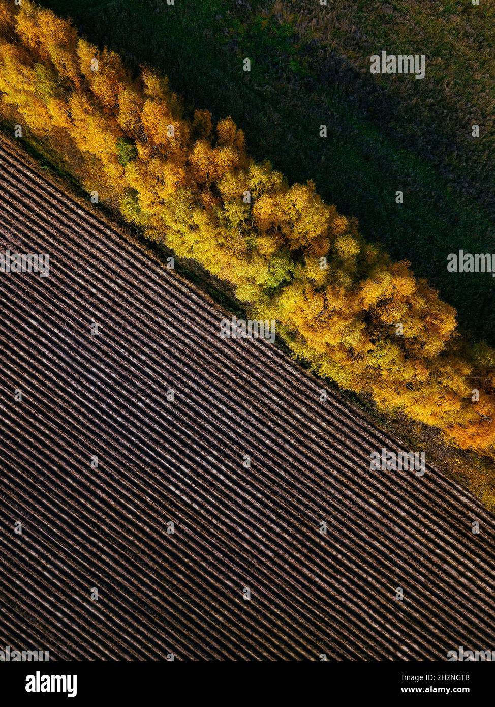 Windbreak (farm or field) hi-res stock photography and images - Alamy