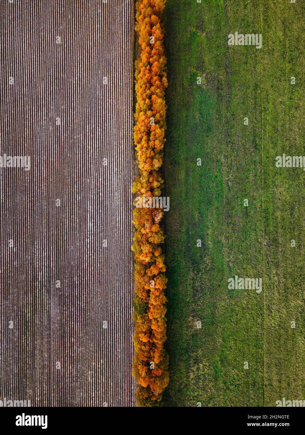 Windbreak (farm or field) hi-res stock photography and images - Alamy
