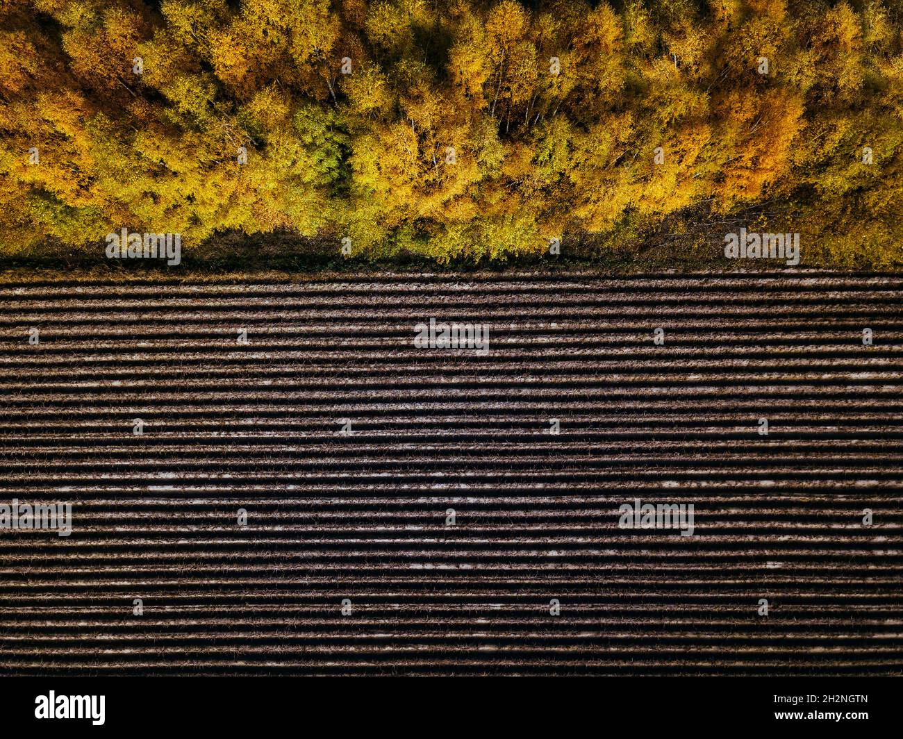 Windbreak (farm or field) hi-res stock photography and images - Alamy