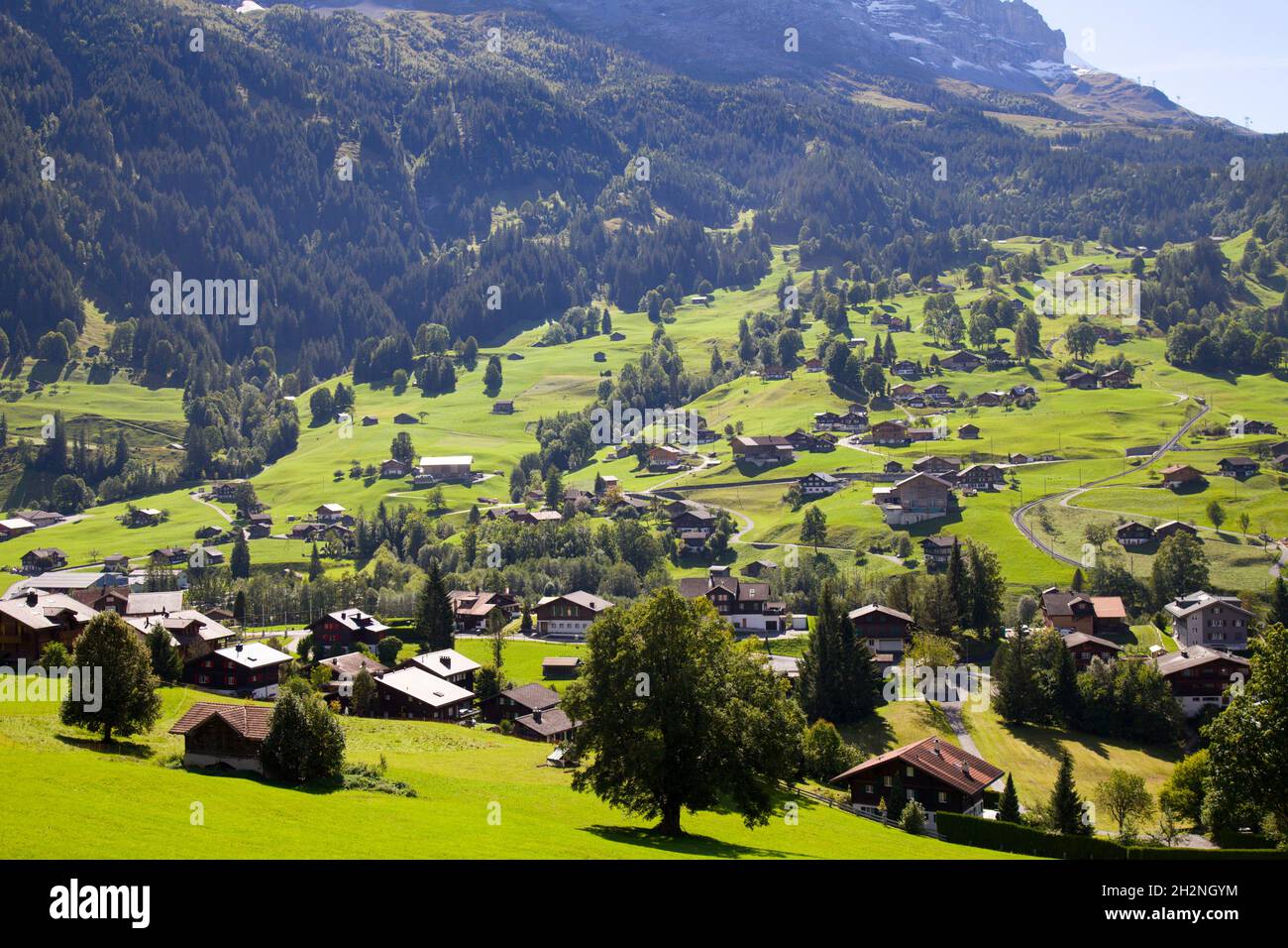 Grindelwald village switzerland hi-res stock photography and images - Alamy