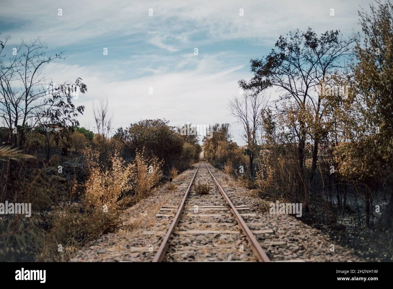 Countryside railroad track in autumn Stock Photo - Alamy