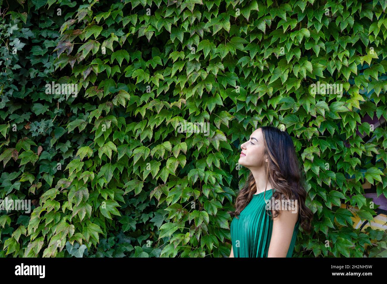 Ivy creeping woman hi-res stock photography and images - Alamy