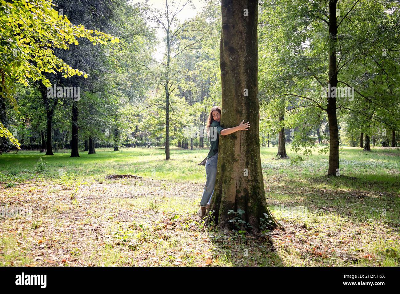 Woman hugging tree in park Stock Photo - Alamy