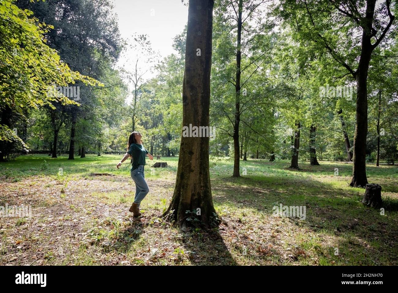Woman with arms outstretched standing under tree Stock Photo - Alamy