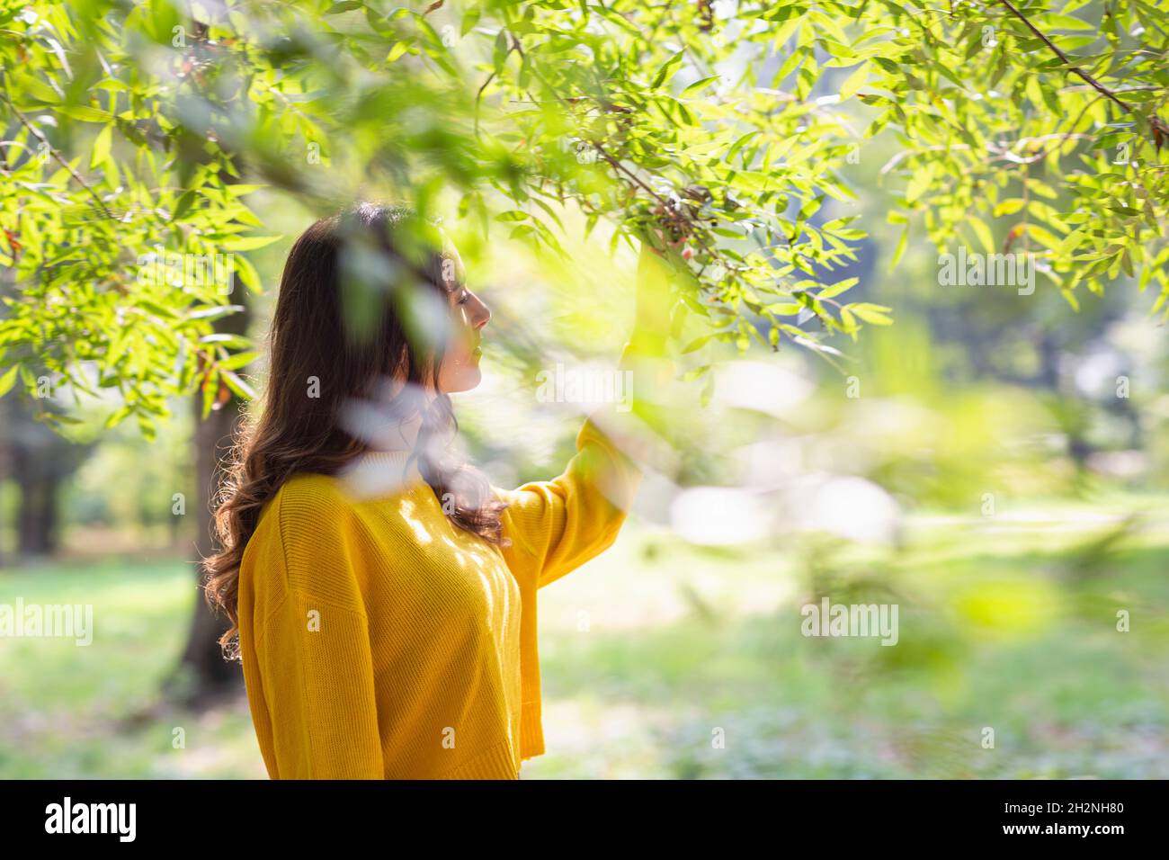 Young woman touching twigs at park Stock Photo - Alamy