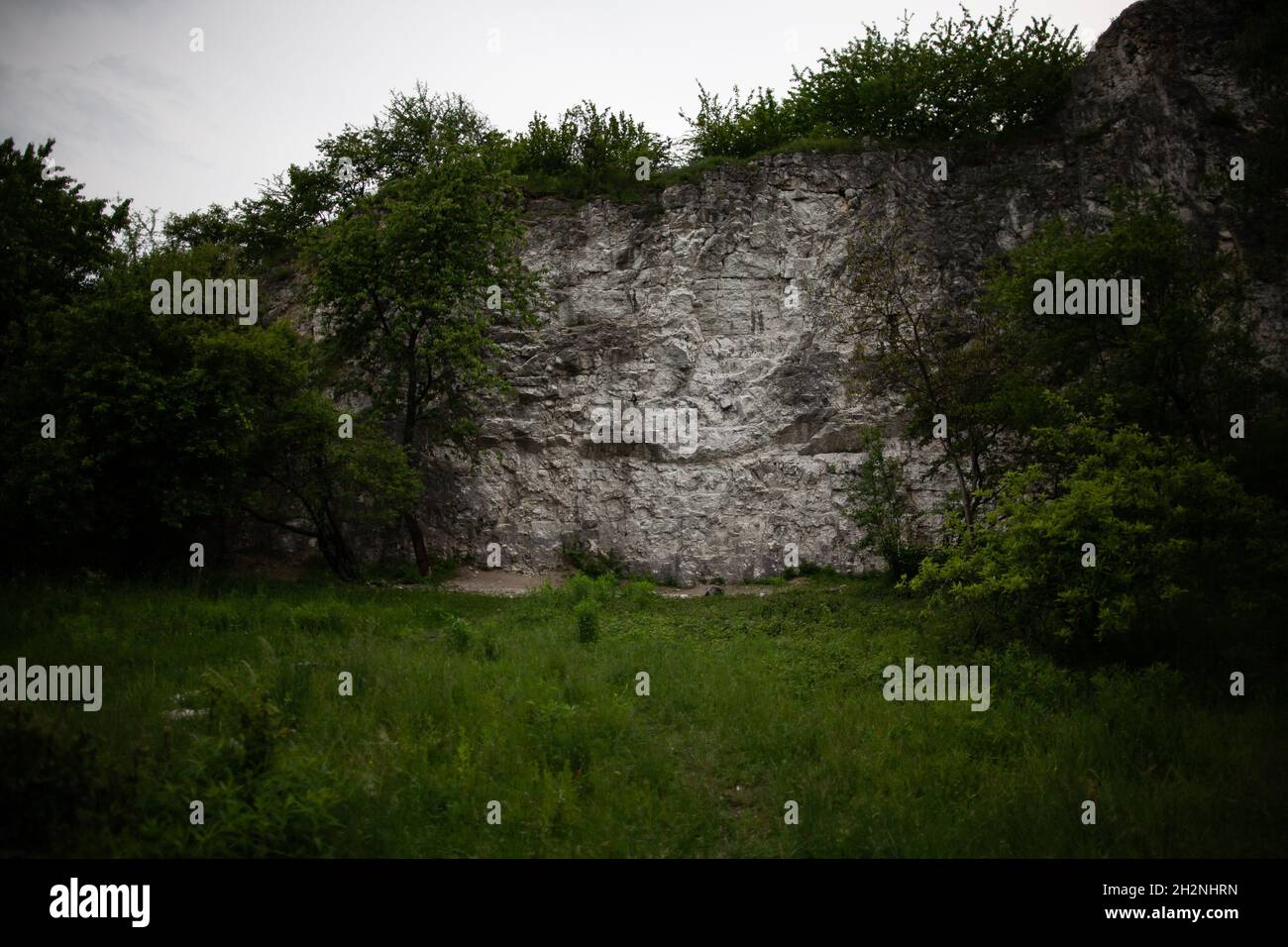 Overgrown slope hi-res stock photography and images - Alamy