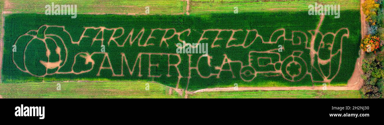 Farmers Feed America Corn Maze in New Jersey Stock Photo - Alamy