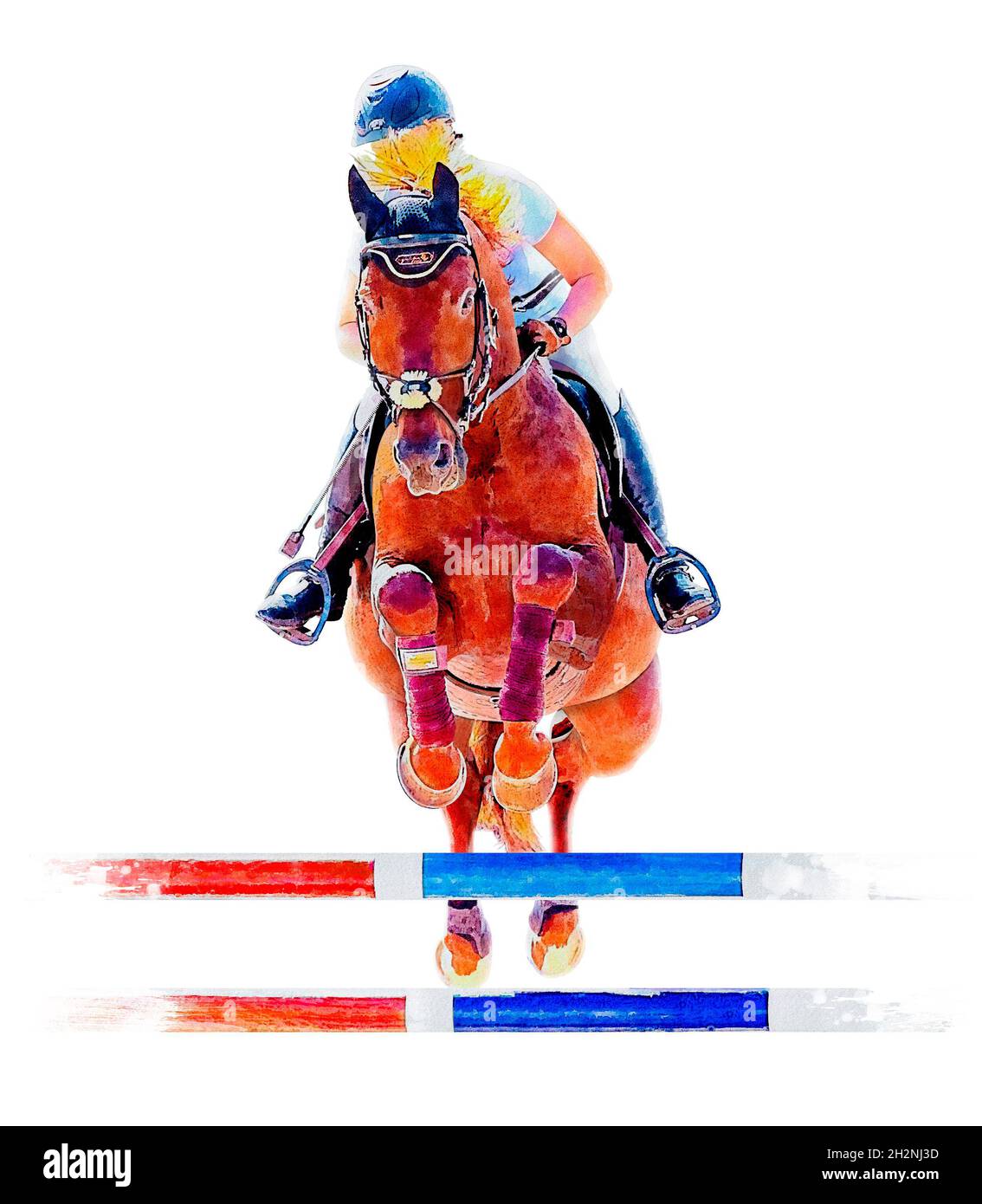 Jockey on horse. Champion. Horse riding. Equestrian sport. Jockey ...