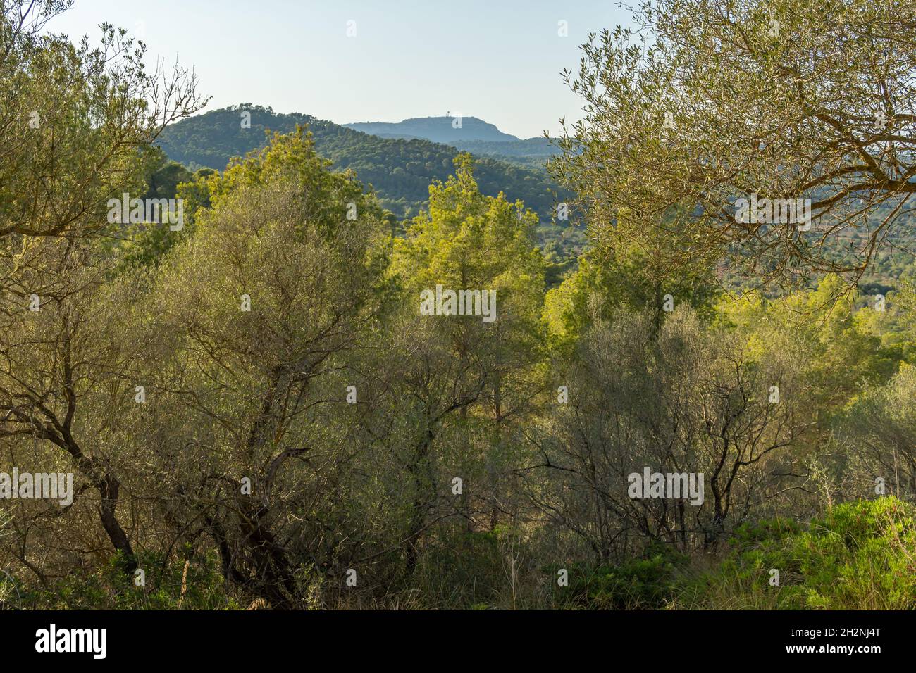 Randa mountain hi-res stock photography and images - Alamy