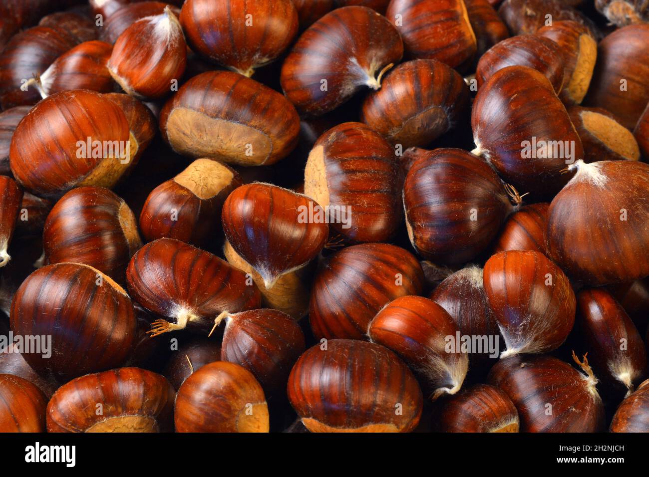 Texture of Chestnuts in flat lay angle Stock Photo - Alamy