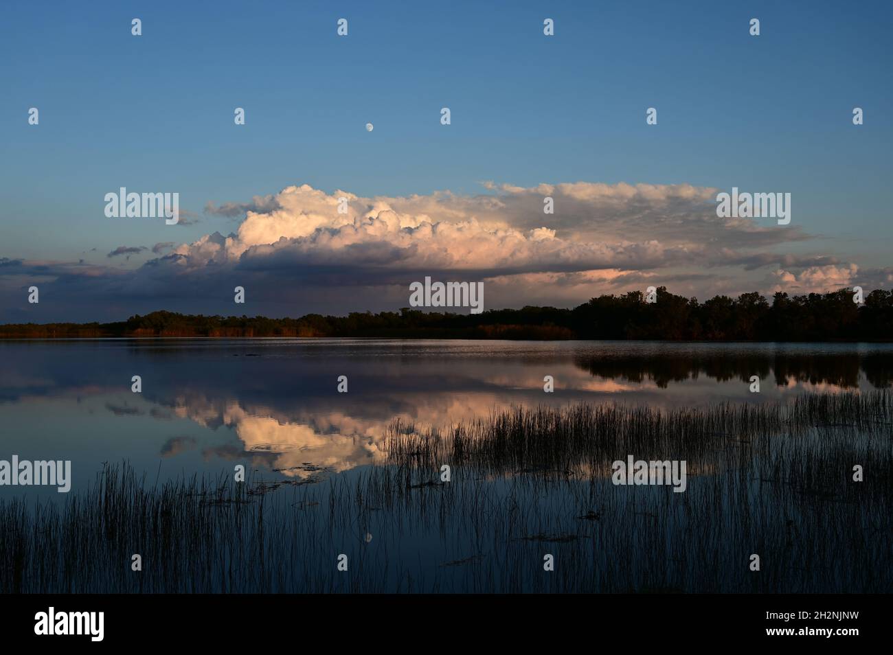 Everglades twilight scene hi-res stock photography and images - Alamy