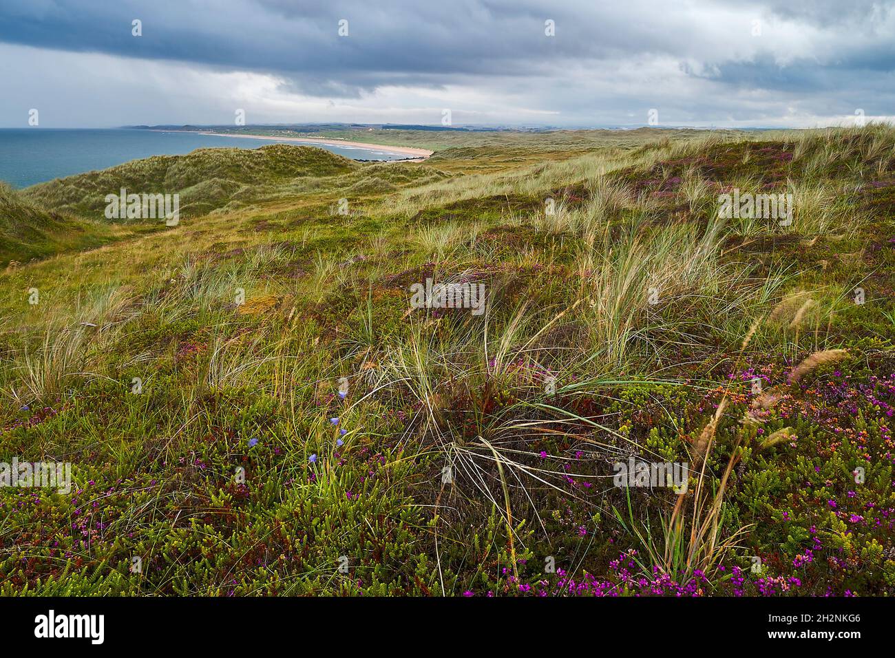 Wide angle landscape view of Forvie Dunes NNR Stock Photo - Alamy