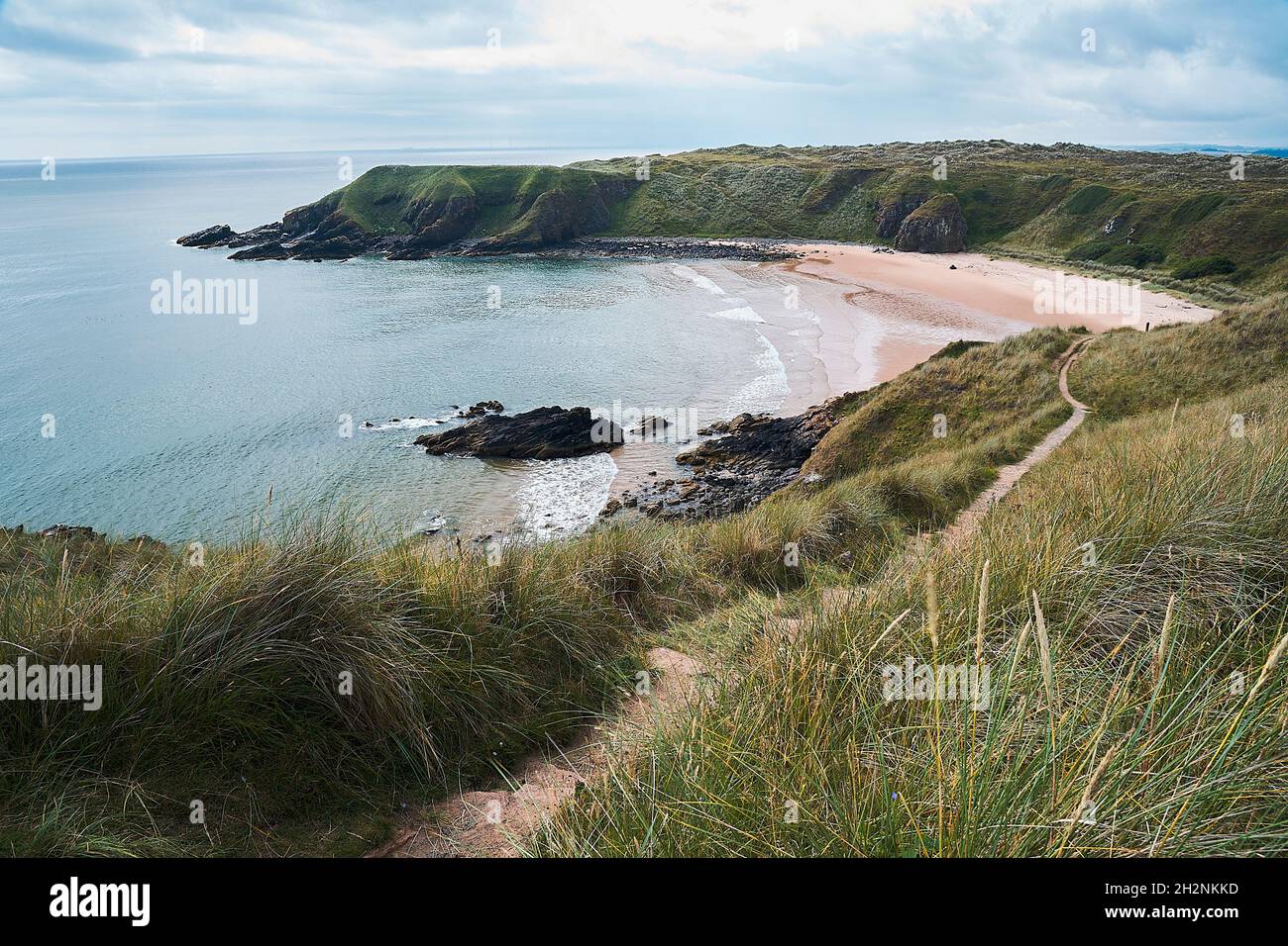 Hackly hi-res stock photography and images - Alamy