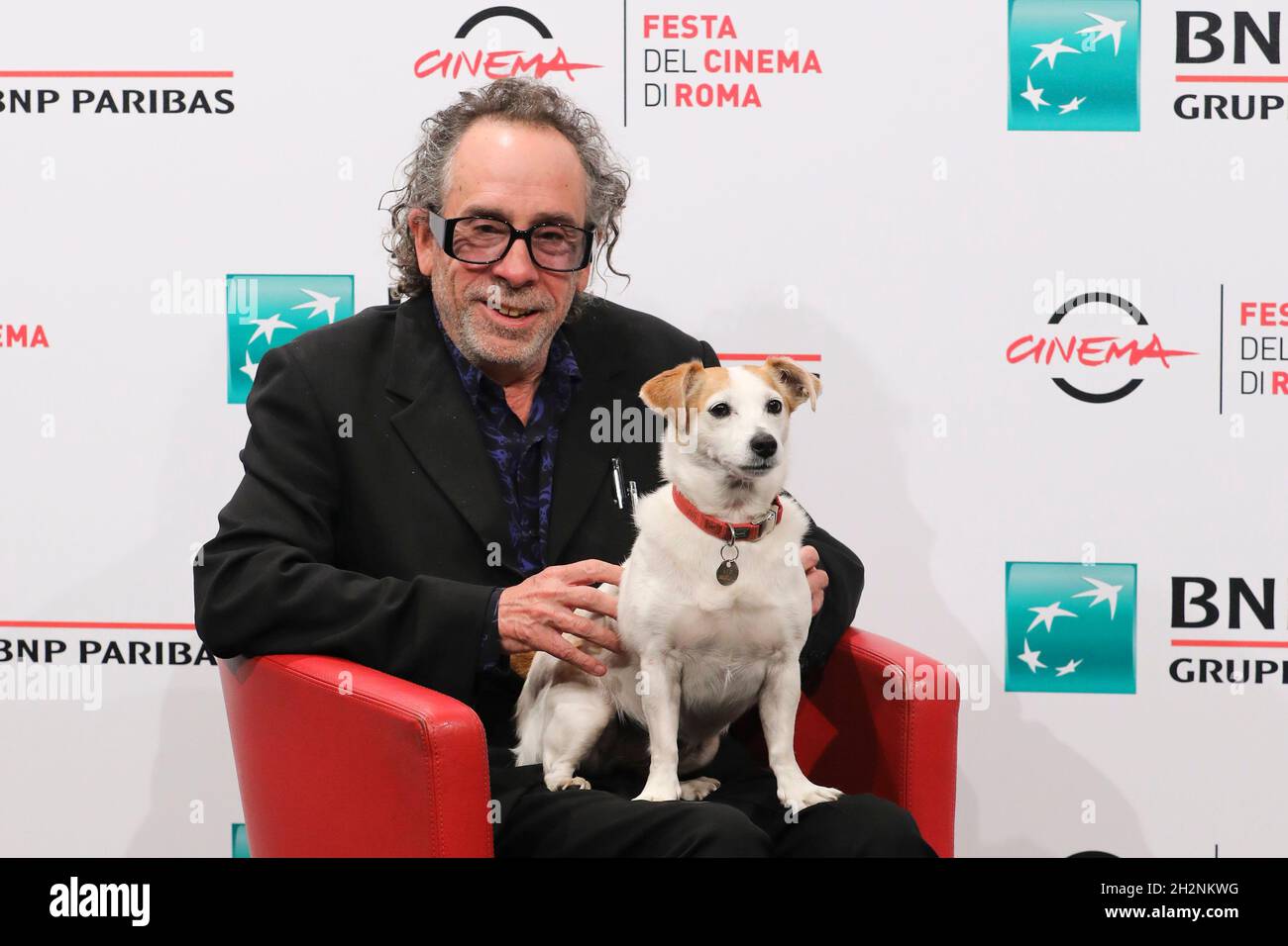 Tim burton dog levi hi-res stock photography and images - Alamy