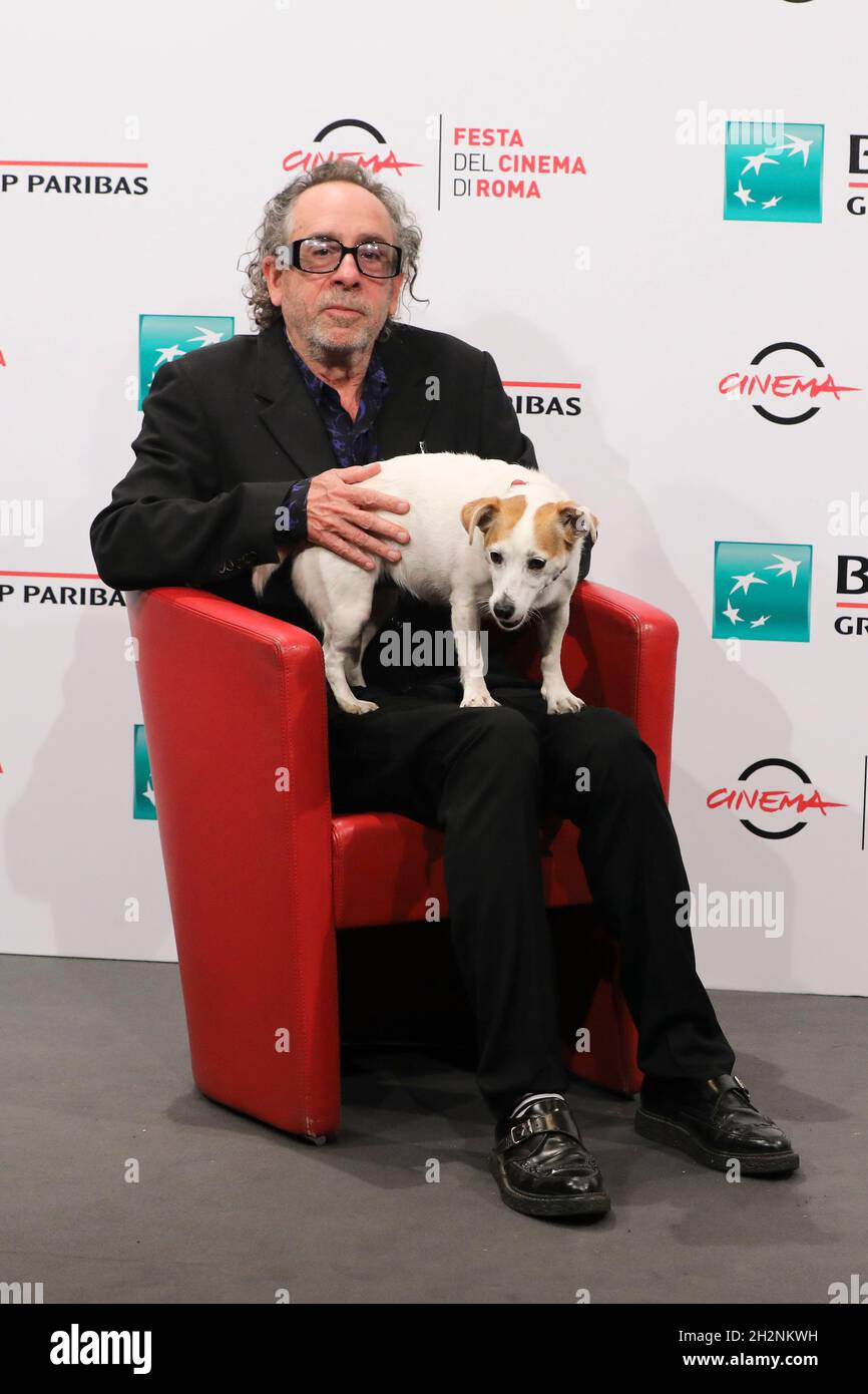 Tim burton dog levi hi-res stock photography and images - Alamy