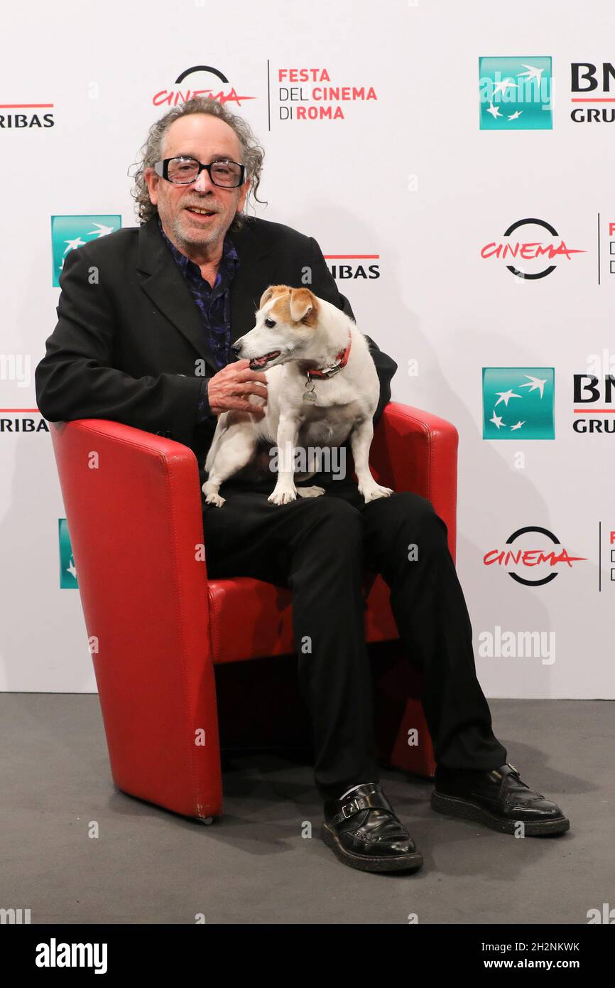 Tim burton dog levi hi-res stock photography and images - Alamy