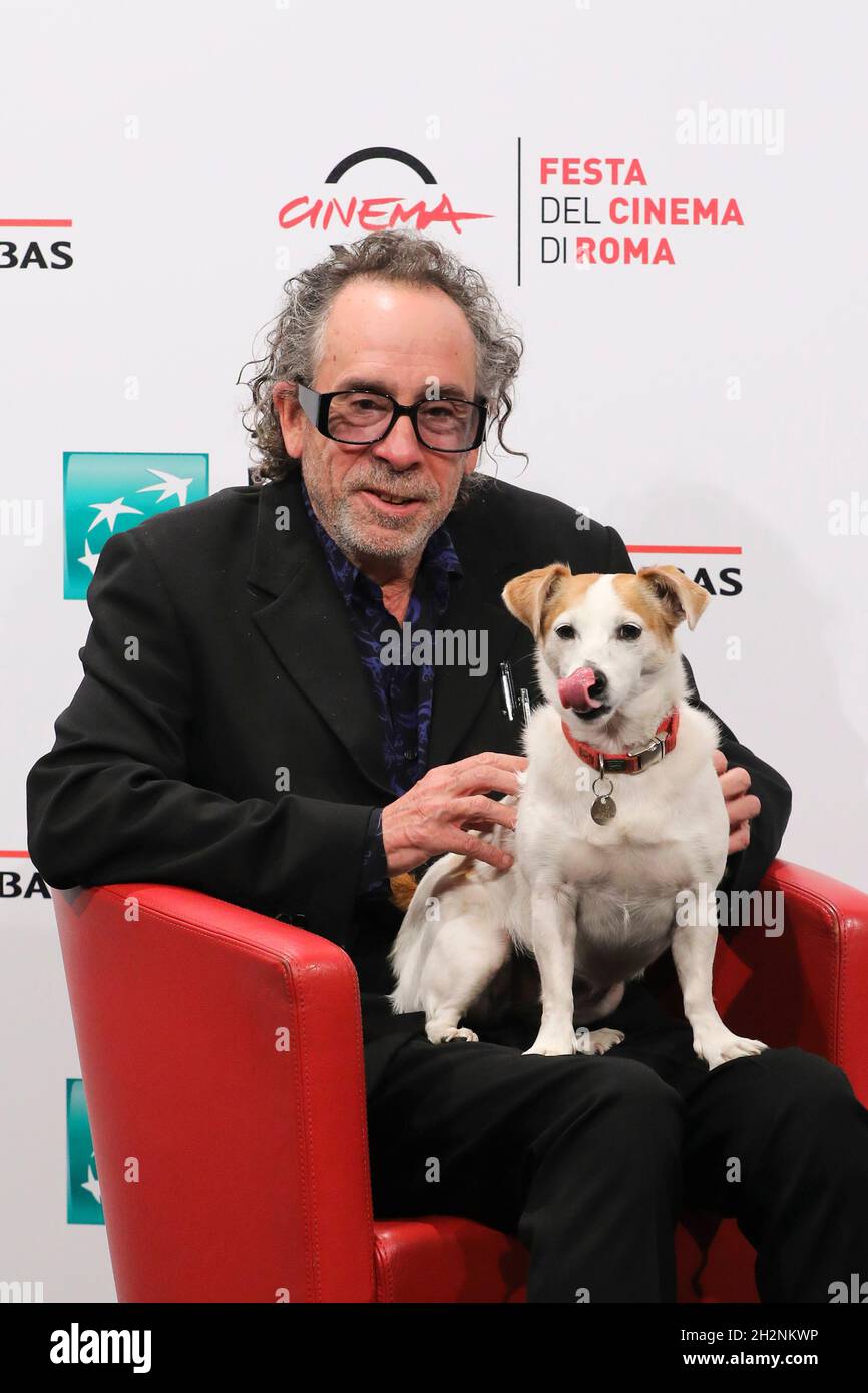 Tim burton dog levi hi-res stock photography and images - Alamy
