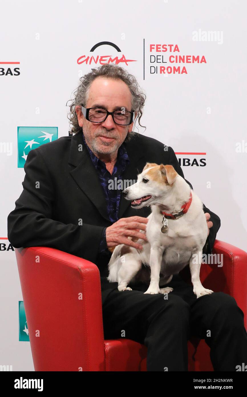Tim burton dog hi-res stock photography and images - Alamy