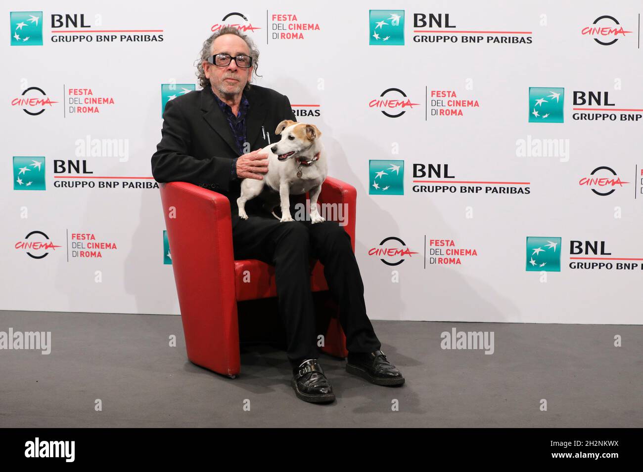Tim Burton Dog High Resolution Stock Photography and Images - Alamy