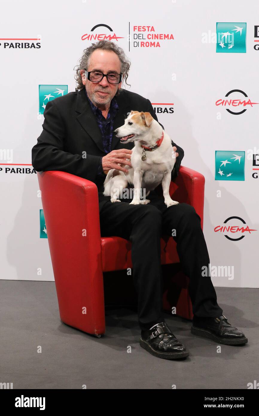 Tim burton dog hi-res stock photography and images - Alamy