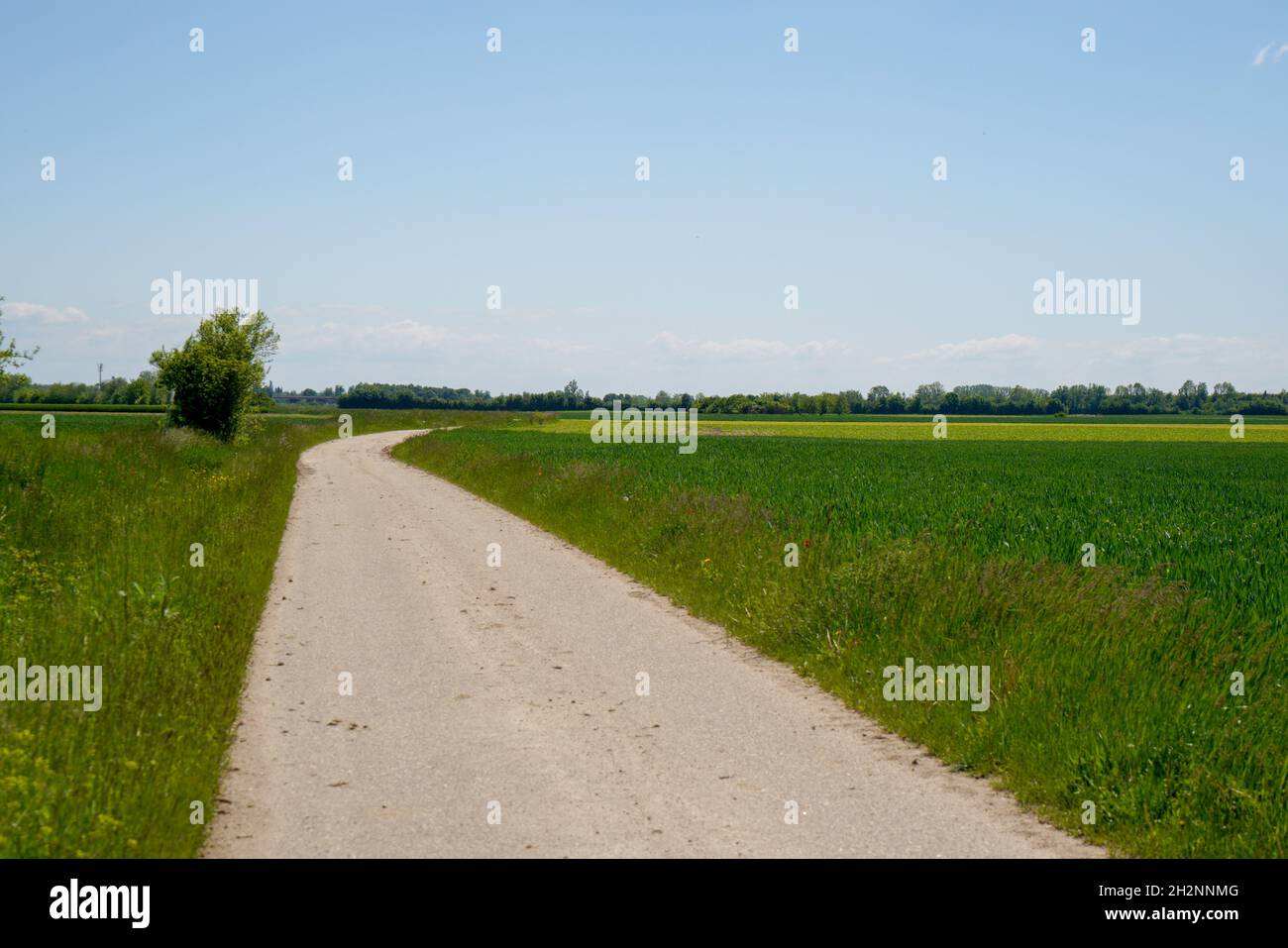 Country road through farm hi-res stock photography and images - Alamy