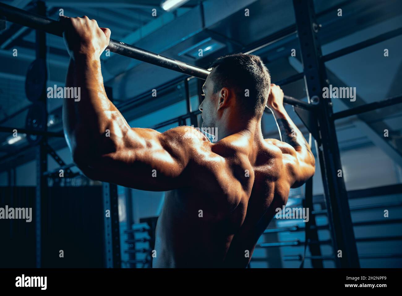 Portrait of muscled athlete, bodybuilder workouts alone at sport gym ...