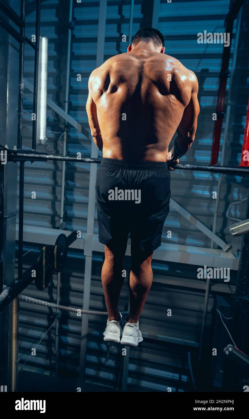 Back view. One muscled athlete, bodybuilder workouts alone at sport gym ...
