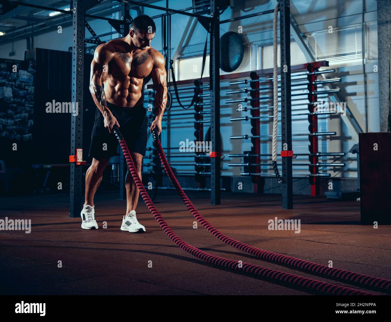 Young man, muscled athlete, bodybuilder training alone at sport gym ...