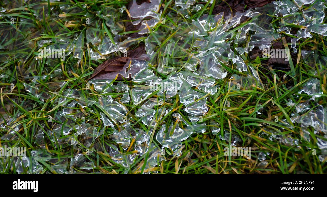 Glittering pieces of ice on the green grass. Spring background with ...
