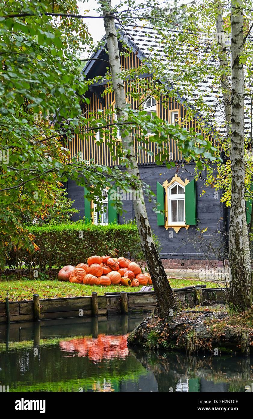 Lehde, Germany. 14th Oct, 2021. The nature in the Spreewald near the ...
