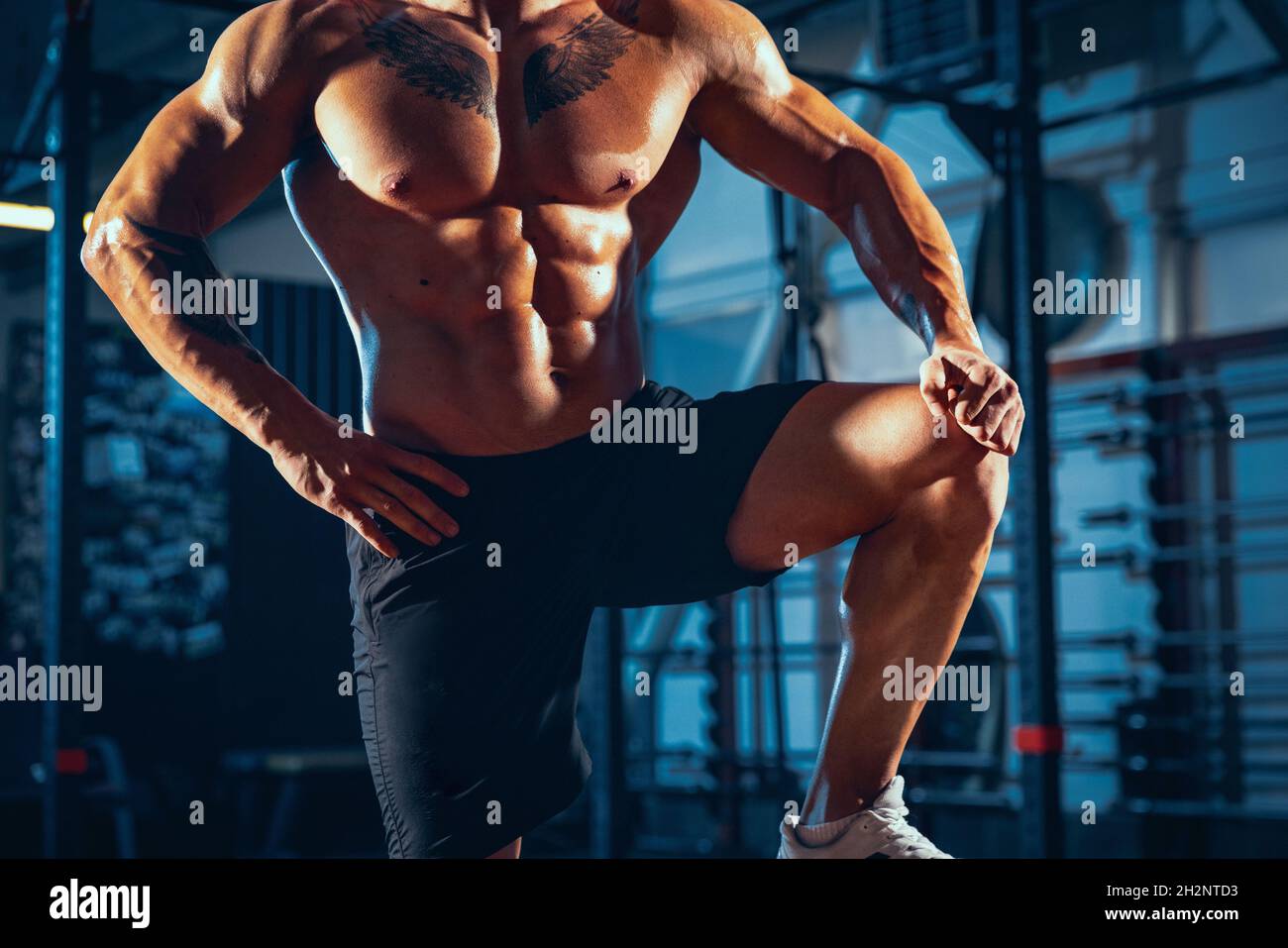 Close-up male muscled body, bodybuilder posing at sport gym, indoors ...