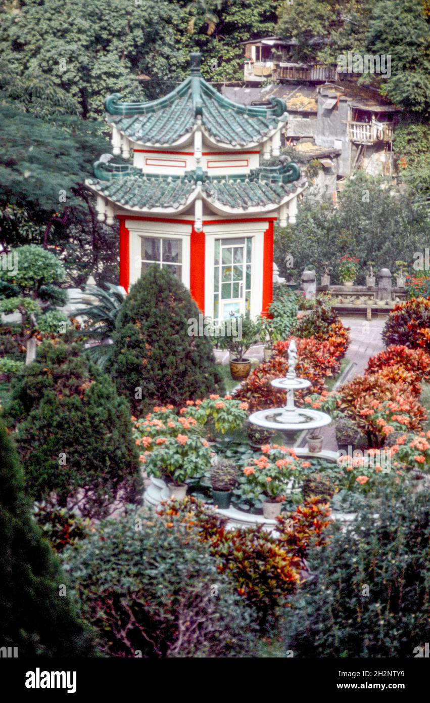 Tiger balm garden hi-res stock photography and images - Alamy