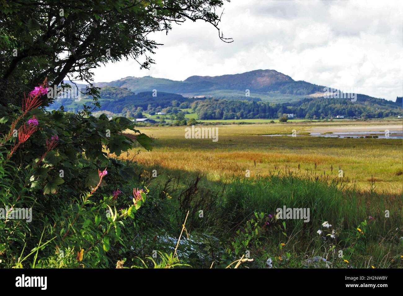 Balcary Bay - Scotland Stock Photo - Alamy