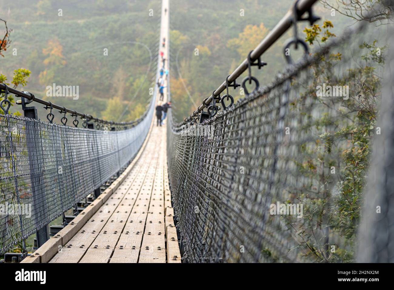 Suspension wooden bridge with steel ropes over a dense forest in West ...