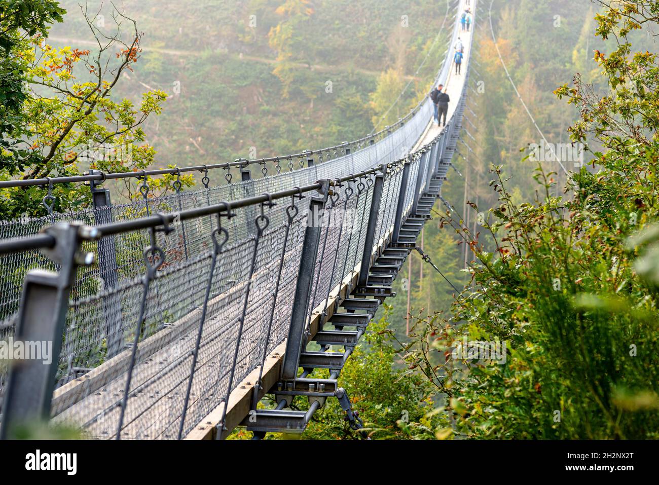 Suspension wooden bridge with steel ropes over a dense forest in West ...