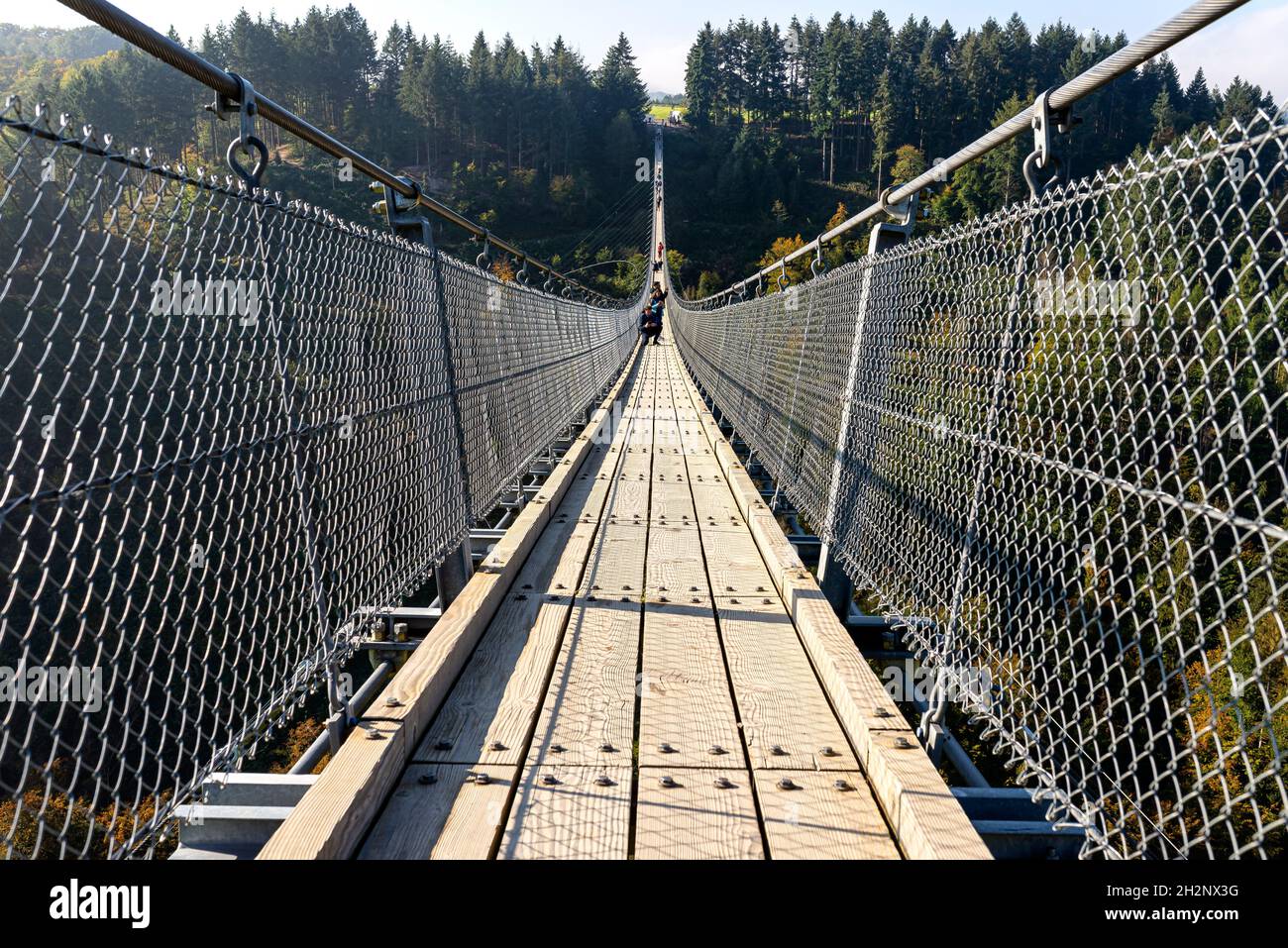 Suspension wooden bridge with steel ropes over a dense forest in West ...