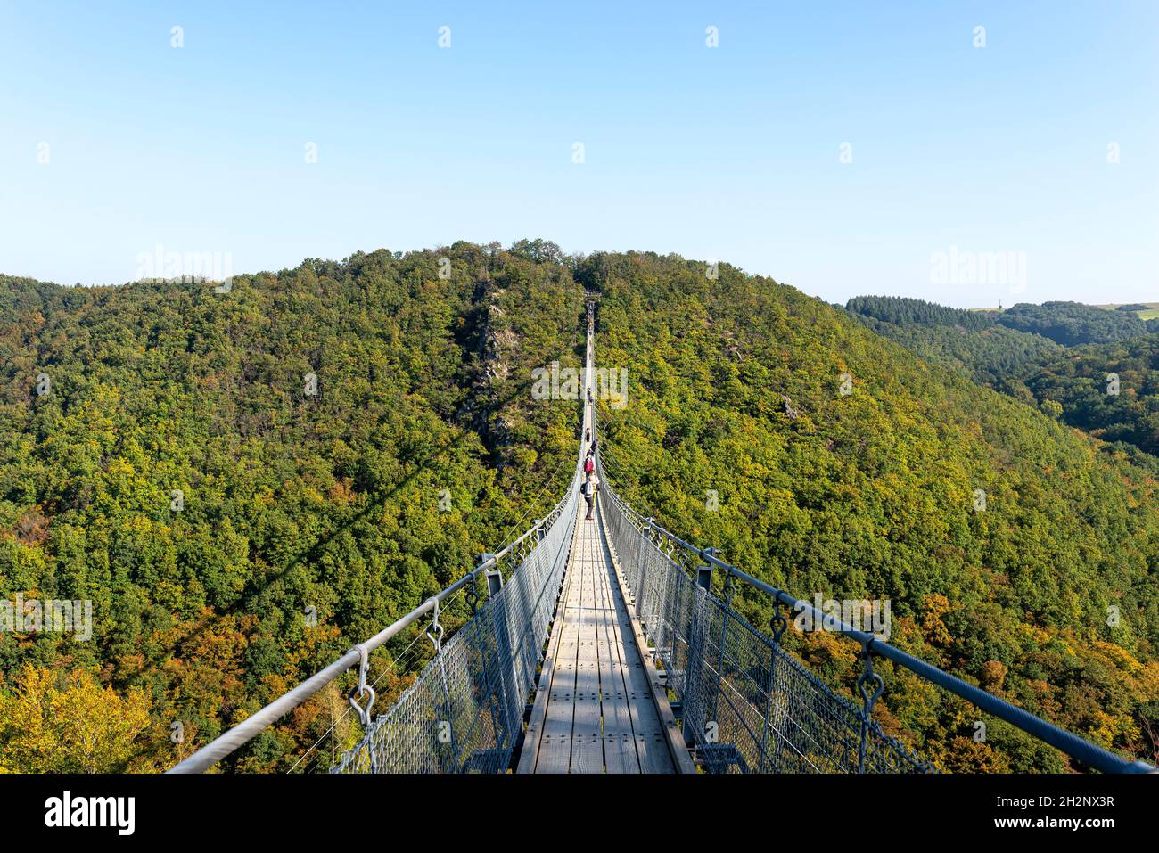 Suspension wooden bridge with steel ropes over a dense forest in West ...