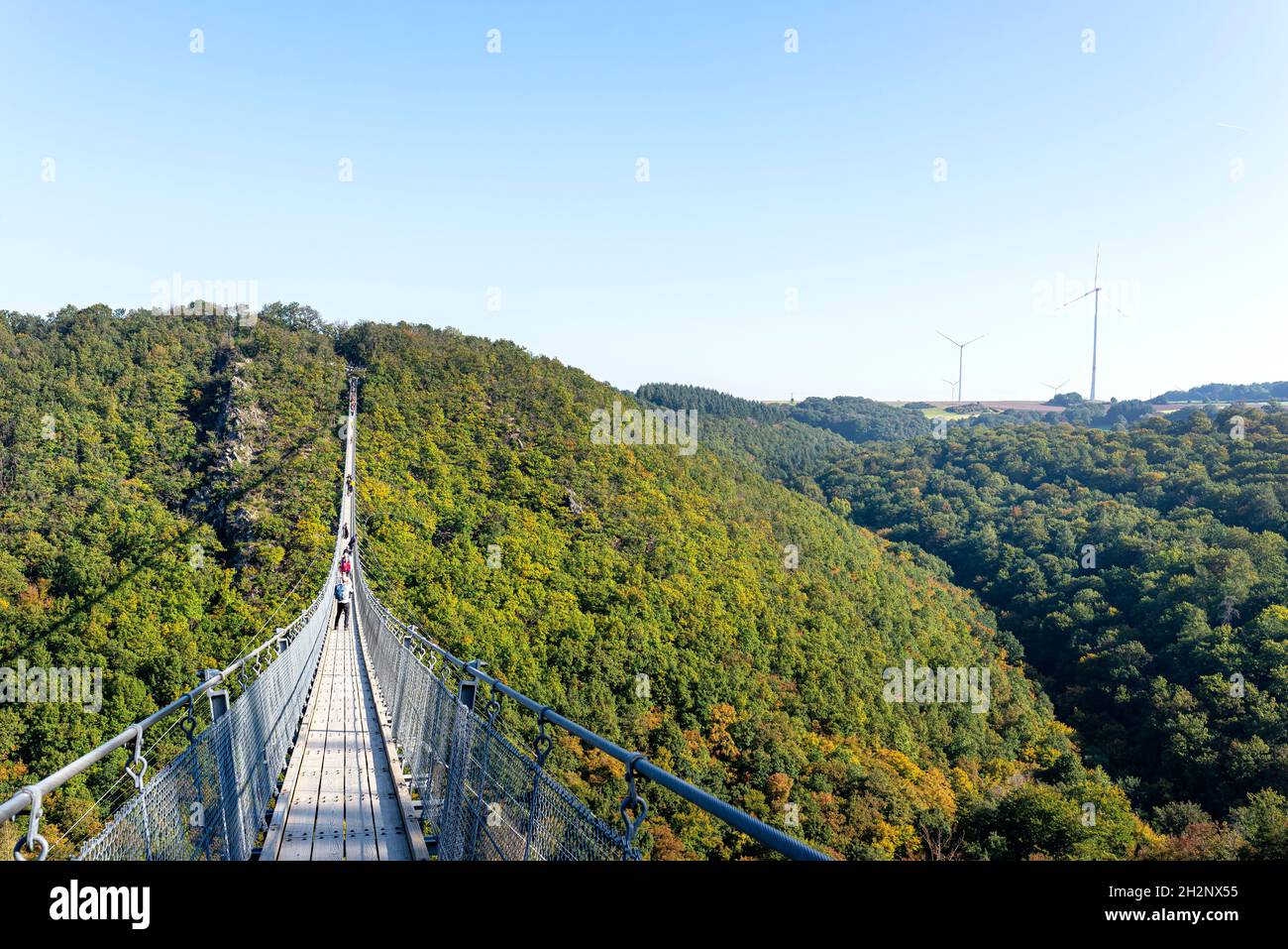 Suspension wooden bridge with steel ropes over a dense forest in West ...