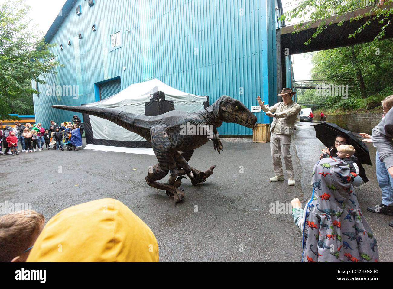 Ritchie raptor hi-res stock photography and images - Alamy