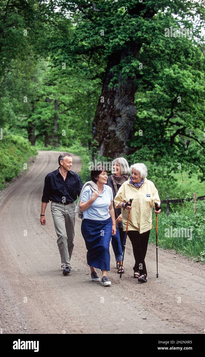 Seniors walking on a forest road in summer Stock Photo - Alamy