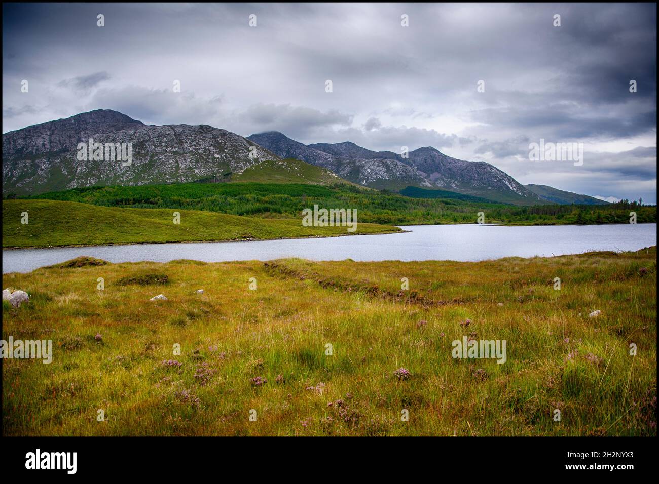 A selection of images taken in the Connemara region of County Galway ...