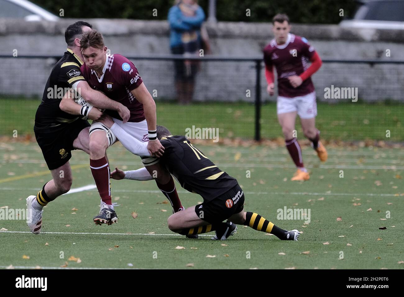 Liveborders hi-res stock photography and images - Alamy